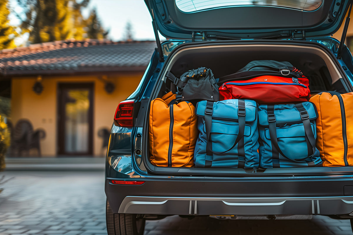 Ergonomics on the Go: Backpacks That Save Your Back – Dexnamic